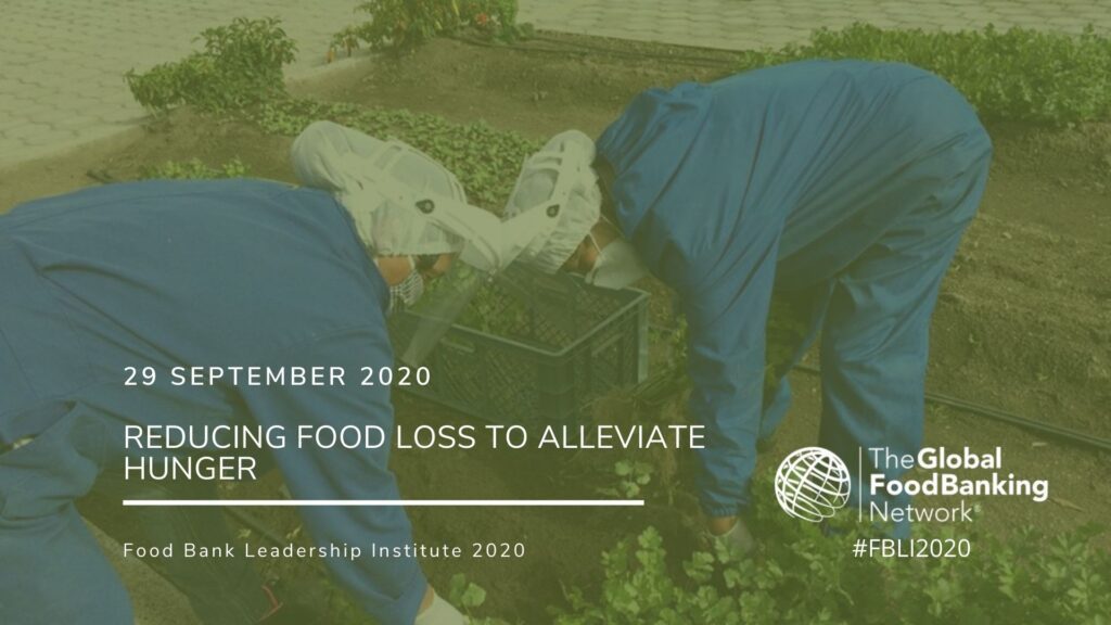 Save Food, Fight Hunger - How Food Banks Fight Hunger | The Global ...