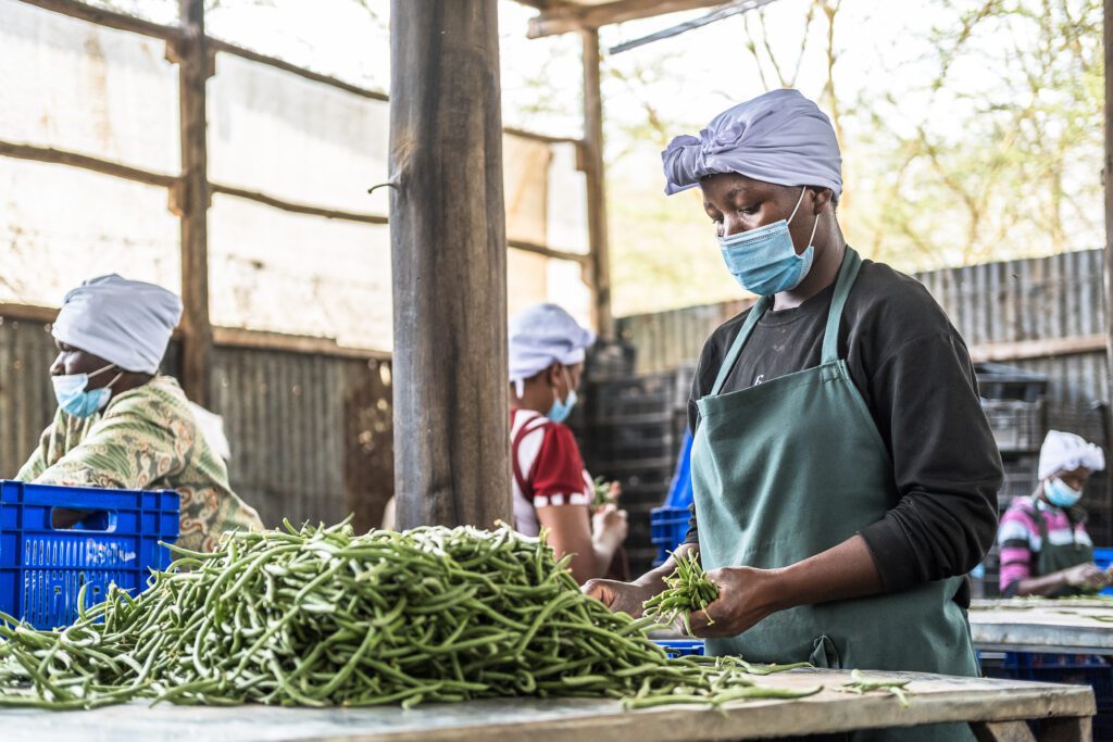 How Food Banking Kenya’s programs grew exponentially in just one year ...