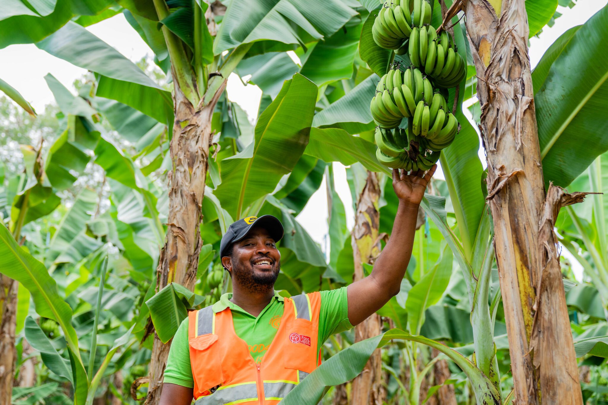 Home | The Global FoodBanking Network