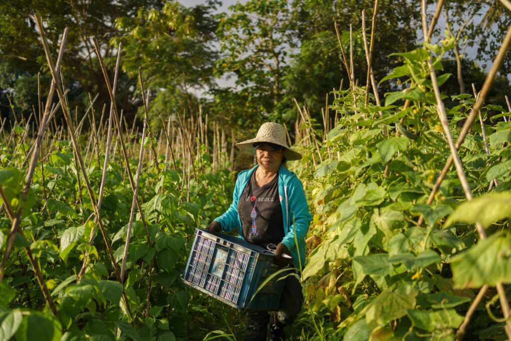 A Food Bank Inside a Trading Post Creates Opportunities for Filipino ...
