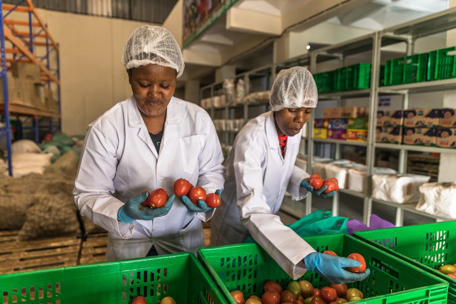 How Food Banks Promote Food Security | The Global FoodBanking Network