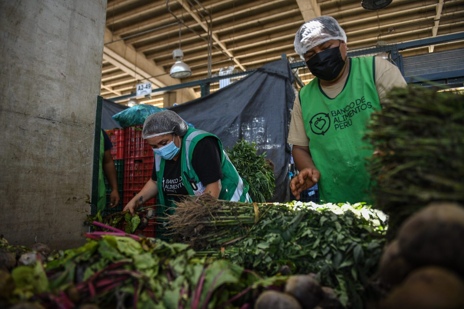 How Food Banks Advance the SDGs | The Global FoodBanking Network