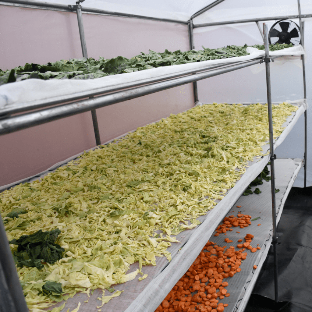 Excellence and Innovation in Food Banking Awards 2024 | The Global ...