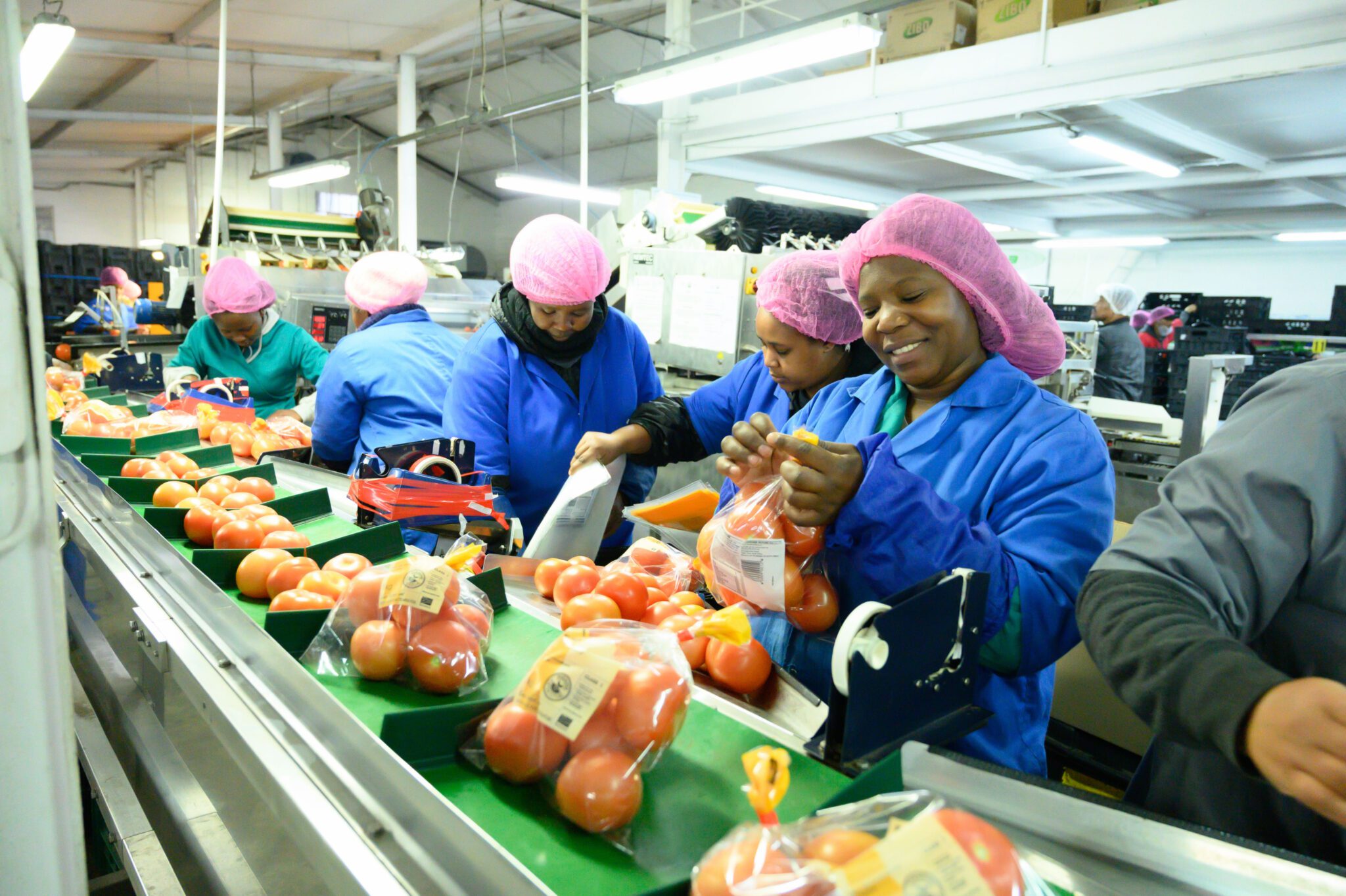 Why Food Bank Certification Matters | The Global FoodBanking Network