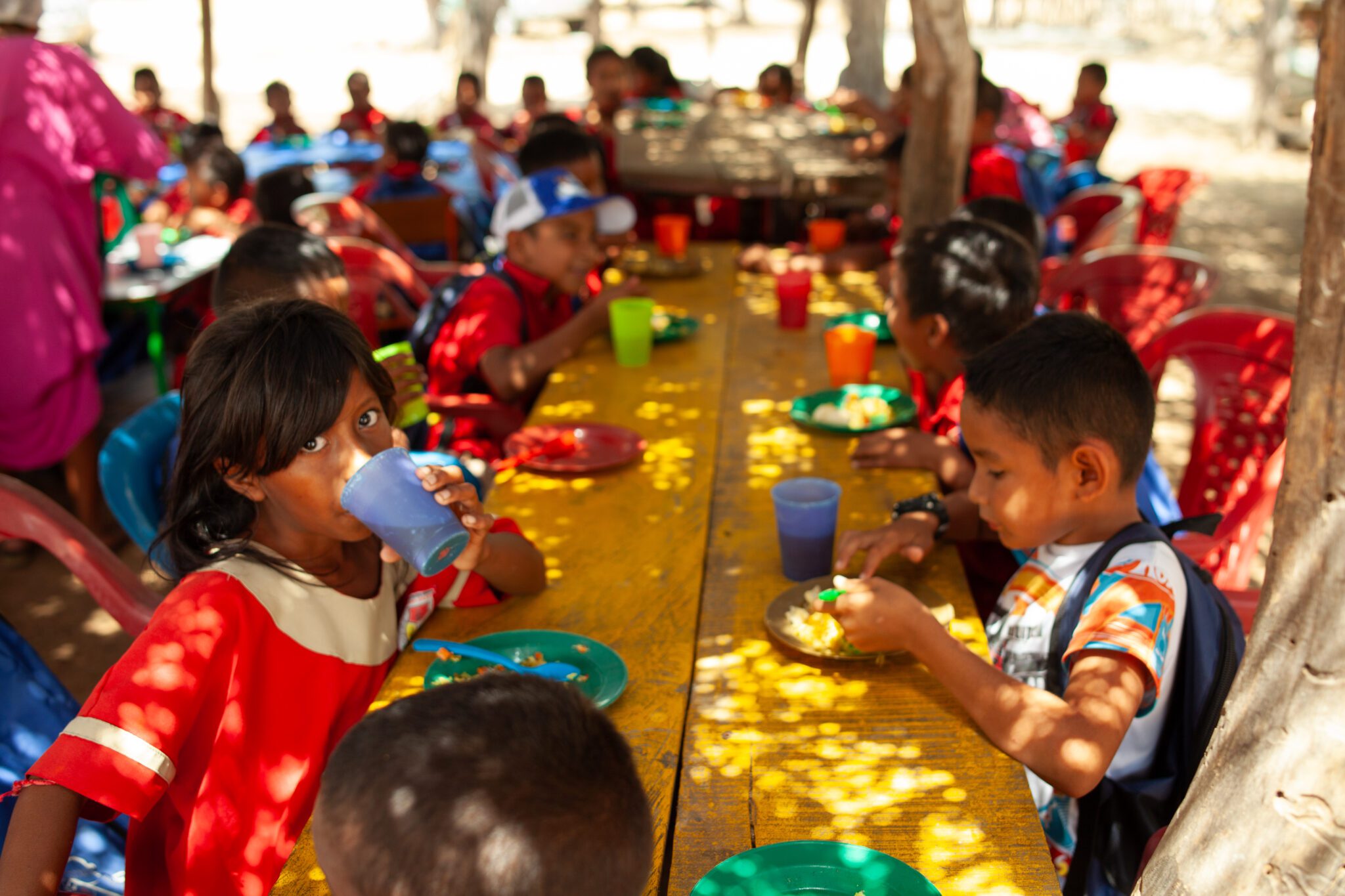 Seven Ways Food Banks Deliver More Than Food | The Global FoodBanking ...