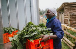Food for Change | The Global FoodBanking Network